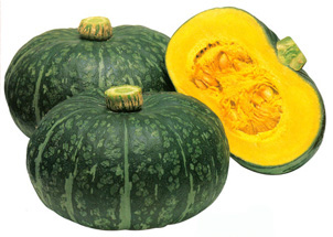 KABOCHA SQUASH 南 瓜 | Tainong Seeds Inc.