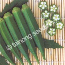 High Quality Chinese Vegetable Seeds | Tainong Seeds Inc.