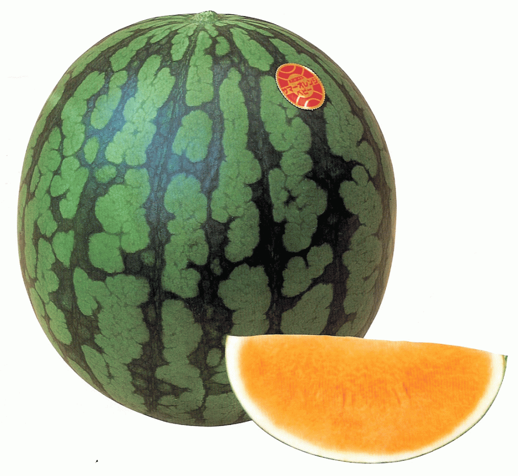 WATERMELON 西 瓜 | Tainong Seeds Inc.